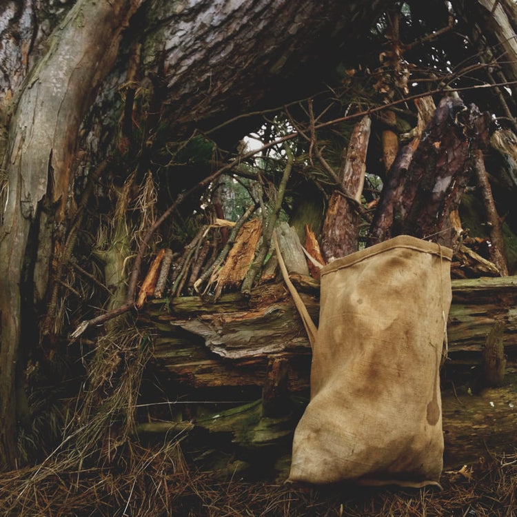 Collections – Carrier Company